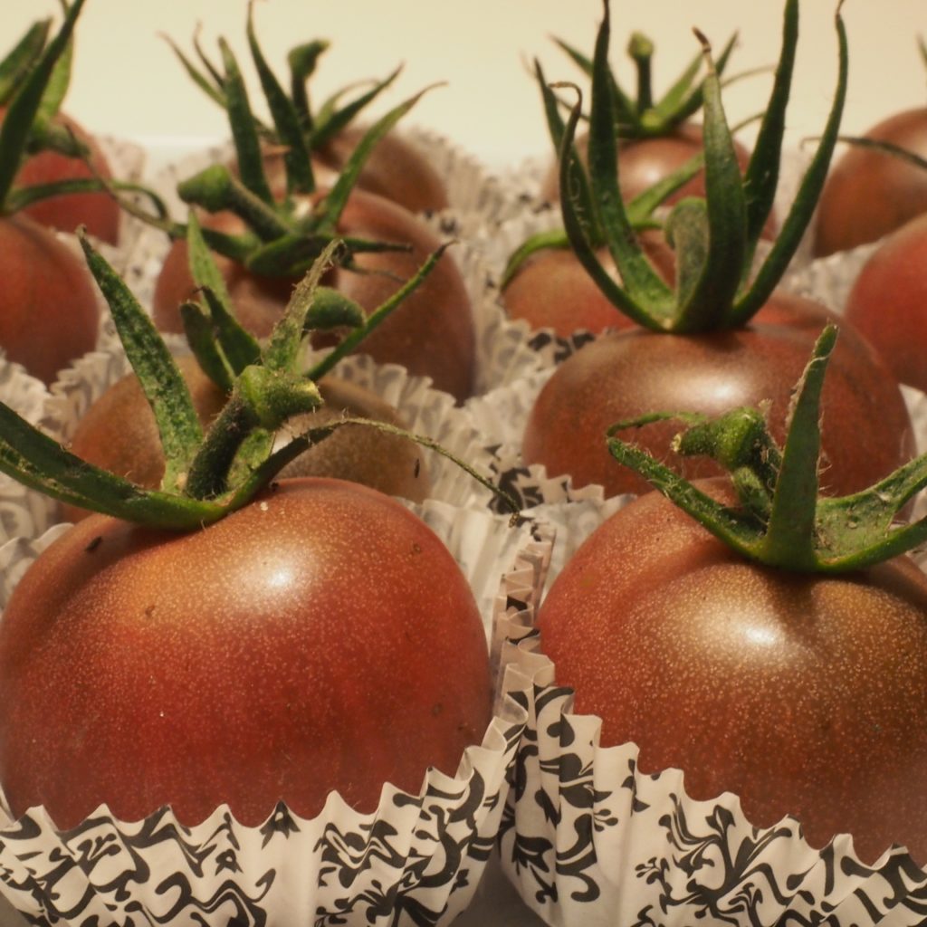 Chocolate' Tomatoes - Multiplants